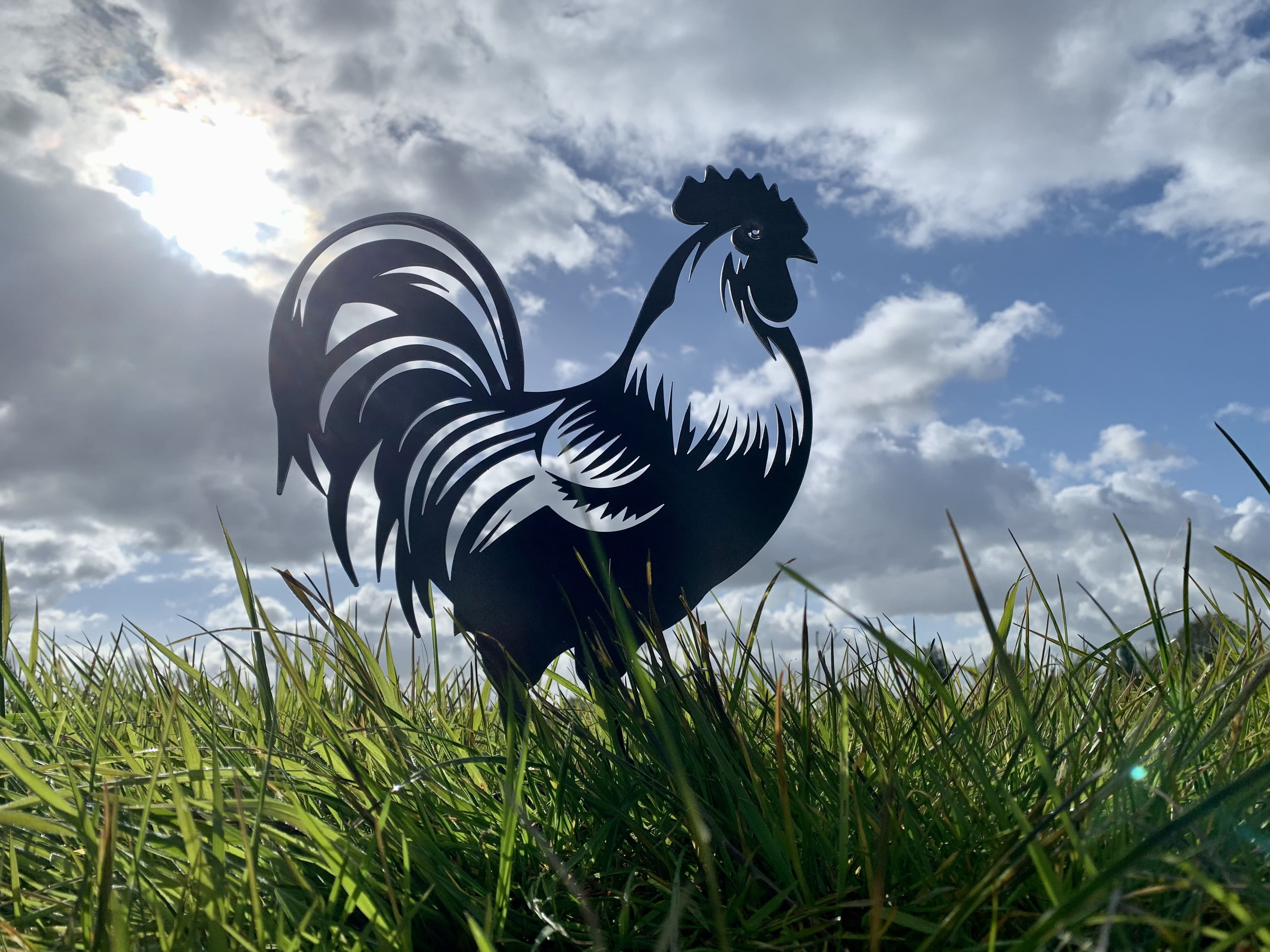 Metal chickens for the garden | Metaldecorationshop.com ...
